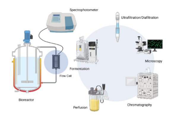 spectroscopic-advances-in-real-time-monitoring-of-pharmaceutical ...