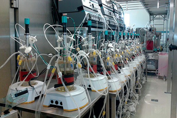 achieving-the-highest-level-of-performance-in-bioreactor-process-control