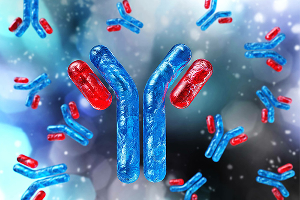 advances-in-mab-purification-supply-chain-security-resin-design-and ...