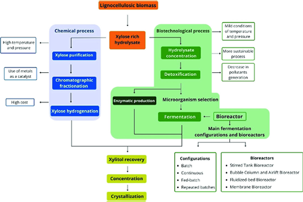 an-overview-of-different-approaches-and-bioreactors-for-xylitol ...