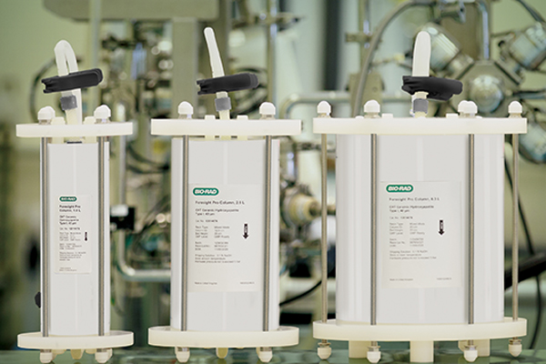 high-performance-with-gmp-ready-cht-prepacked-process-scale-columns