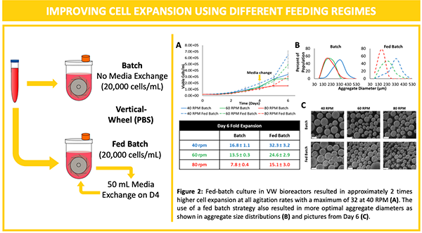 protocol-development-to-overcome-bioprocess-bottlenecks-in-the-large ...
