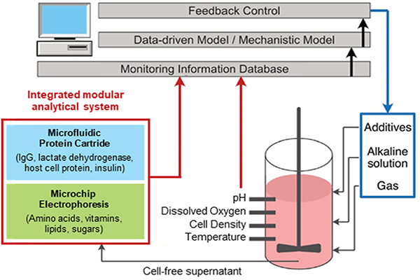 recent-capillary-electrophoresis-applications-for-upstream-and ...