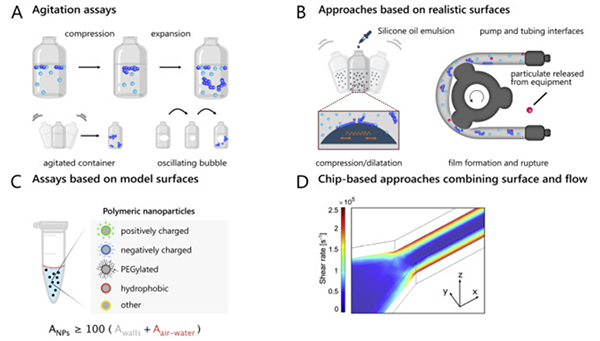 surface-induced-protein-aggregation-and-particle-formation-in-biologics ...