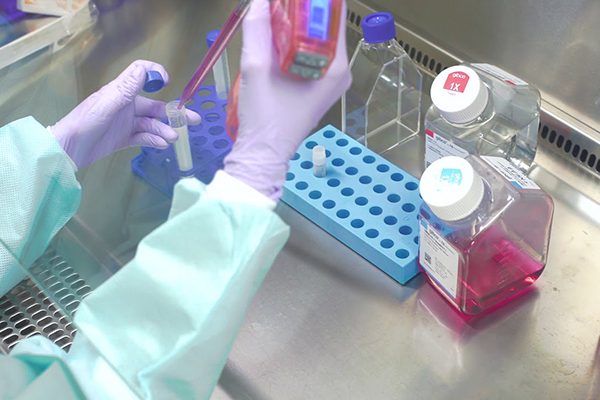 thawing-frozen-cells