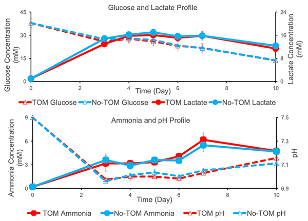 transfer-rate-online-measurement-tom-system-for-analyzing-the ...